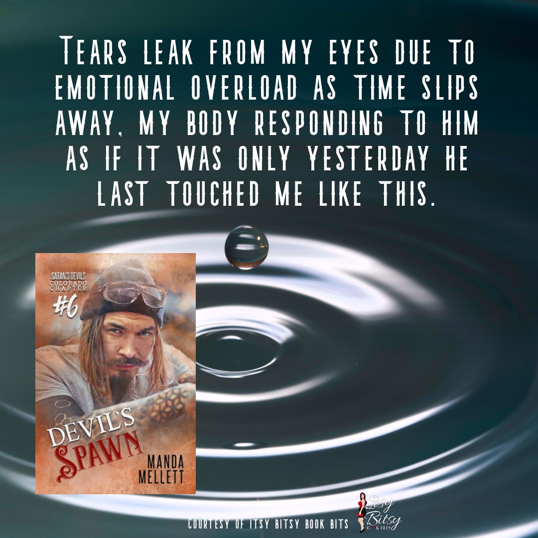 Devil’s Spawn (Satan’s Devils MC Colorado Chapter #6) by Manda Mellett ...