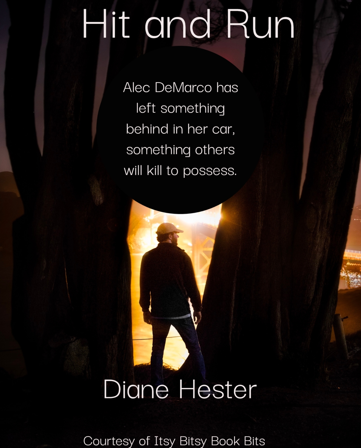 HIT AND RUN by Diane Hester – Itsy Bitsy Book Bits