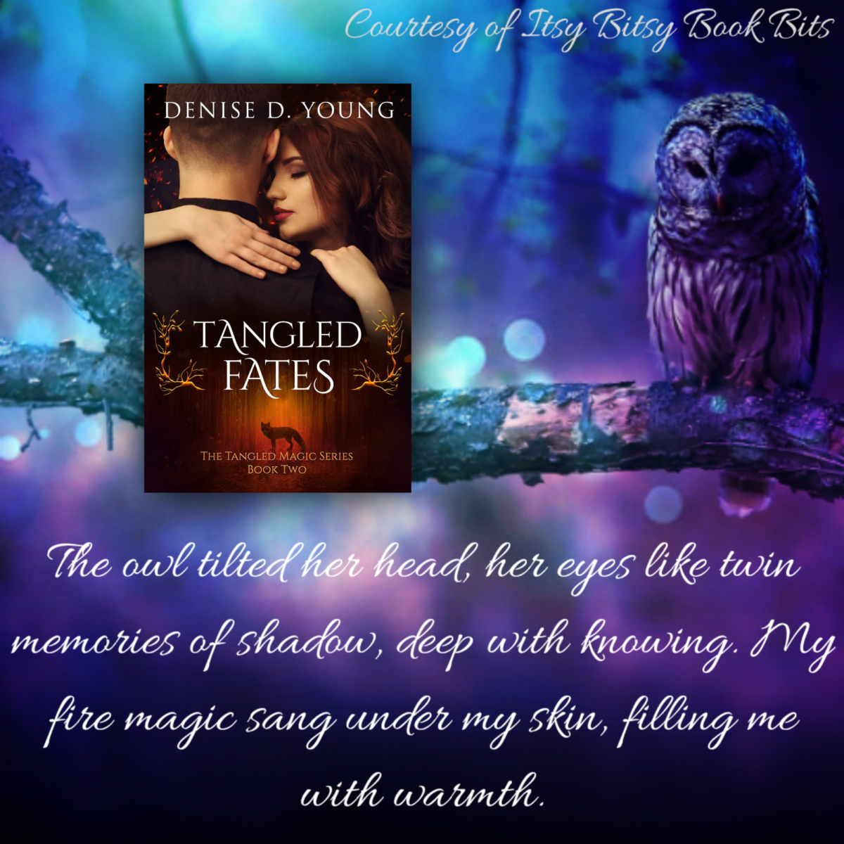 Tangled Fates (Tangled Magic Series: Book 2) by Denise D. Young – Itsy ...