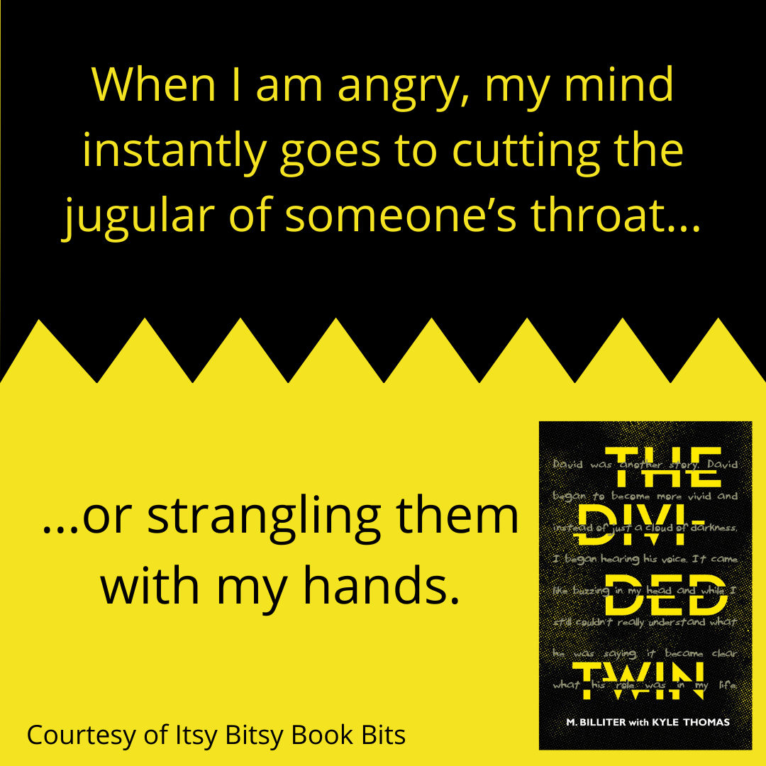 The Divided Twin (The Divided Series Book 2) by M. Billiter with Kyle ...