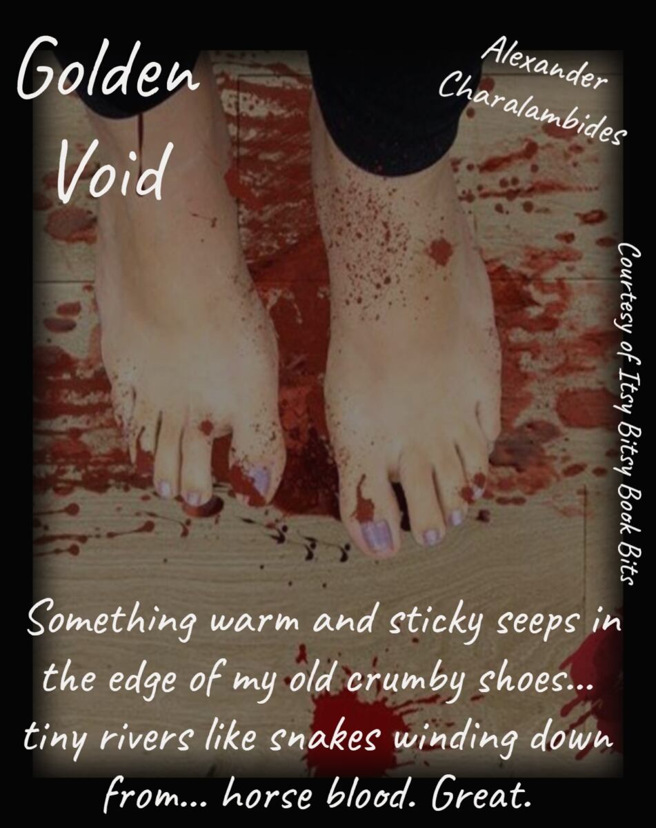 Golden Void (Black Blade Book 3) by Alexander Charalambides – Itsy ...