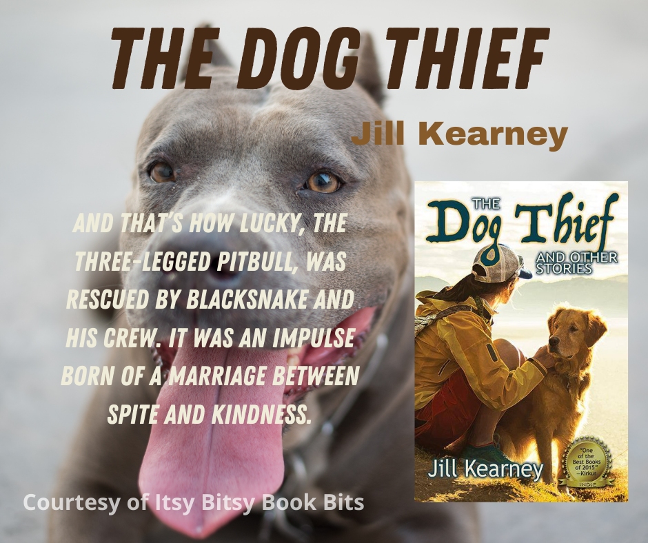 The Dog Thief and Other Stories by Jill Kearney – Itsy Bitsy Book Bits