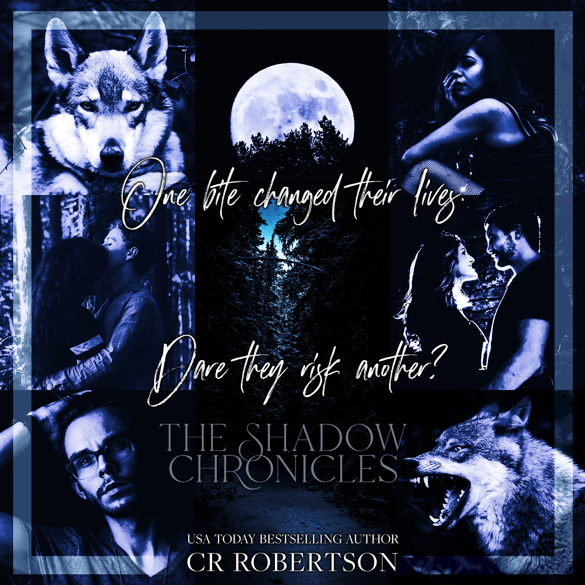 Forbidden Mate (The Shadow Chronicles Book 2) by CR Robertson – Itsy ...