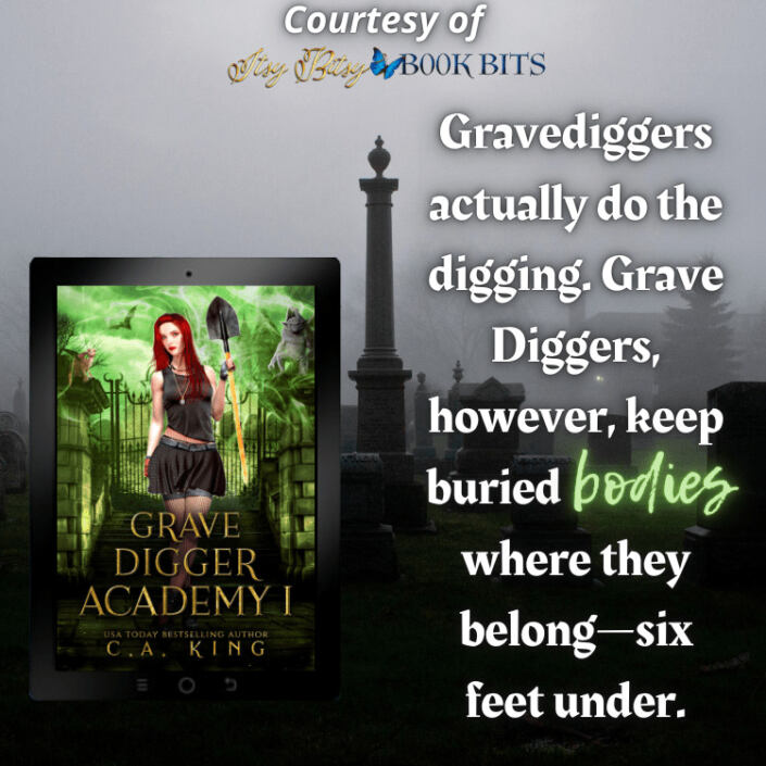 Grave Digger Academy (Grave Digger Academy Book 1) by C.A. King – Itsy ...